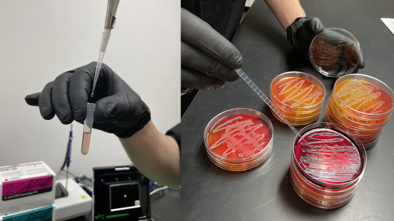 Food Pathogen Testing - Anatek Labs, Inc. - Moscow, ID & Spokane, WA